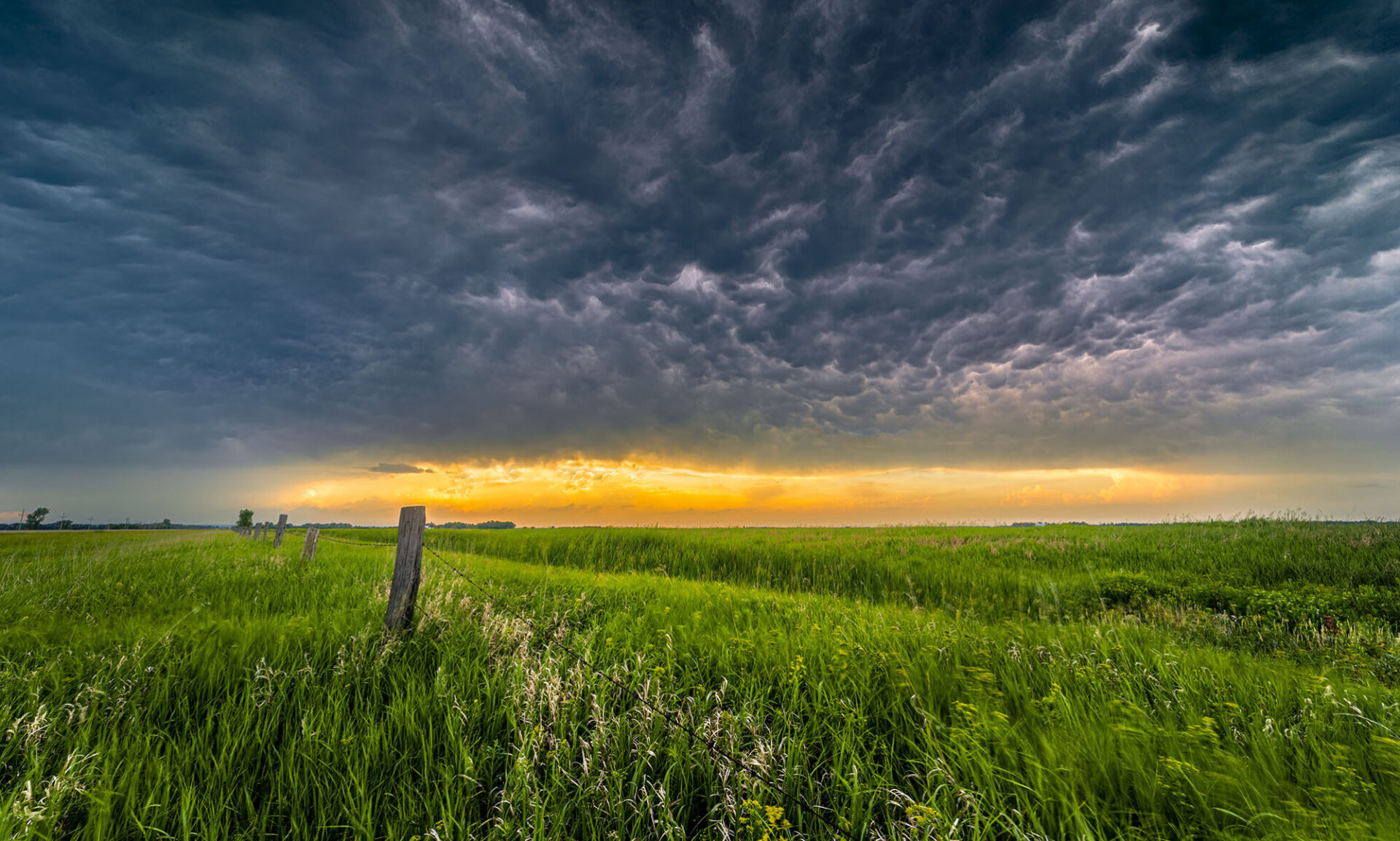 Portrait, Wedding and Fine Art Nature - Jason Lee Photography